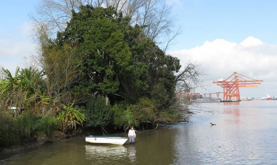 Ríos Vivos. Conversación con Alejandro Meitín - Museu Tàpies